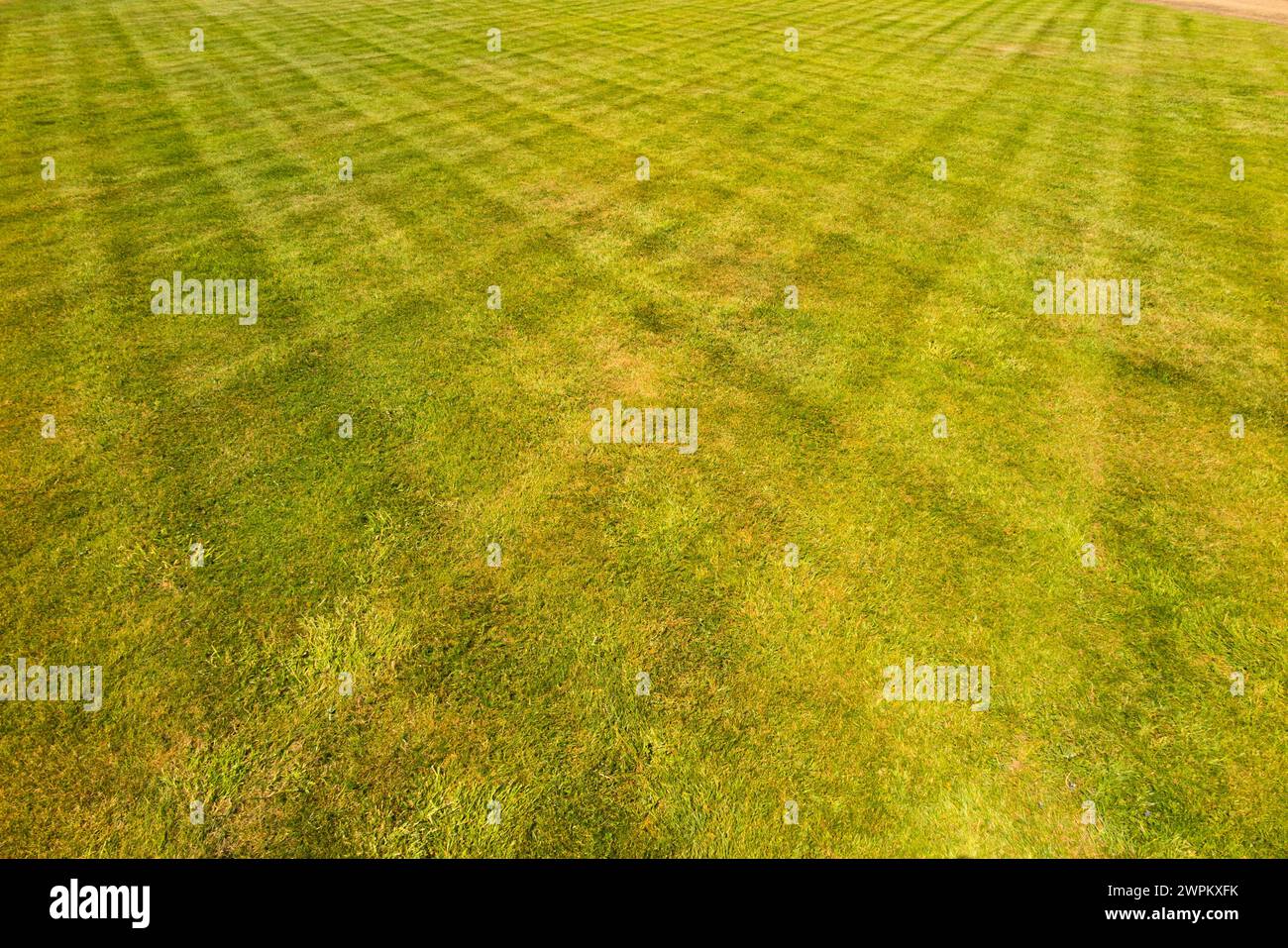 Occasional green stripe hi-res stock photography and images - Alamy