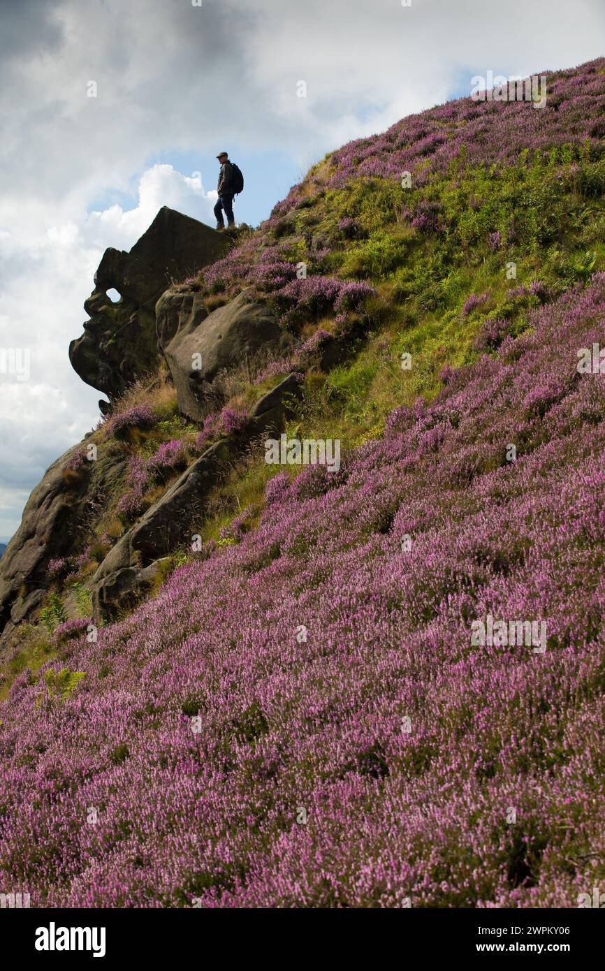 Winking man hi-res stock photography and images - Alamy