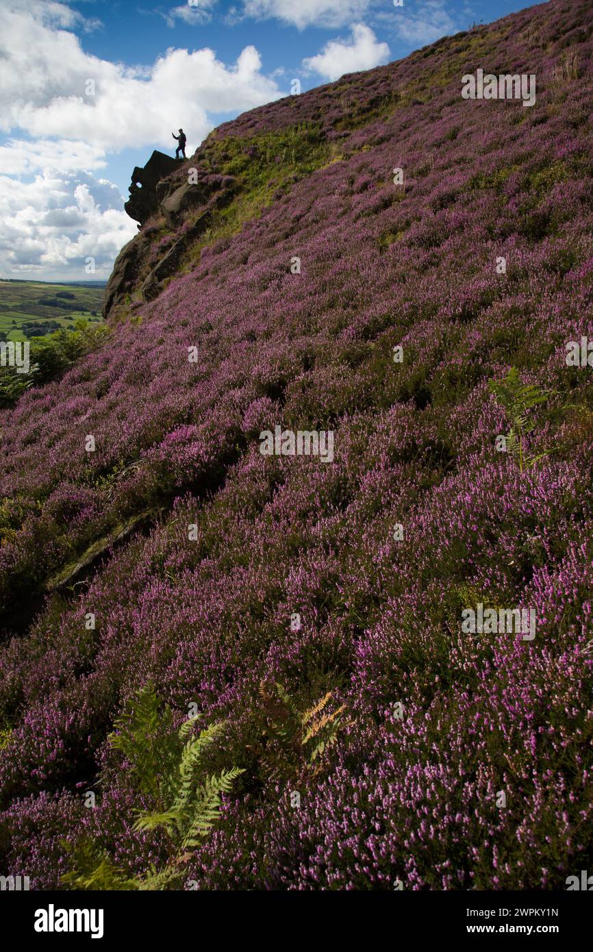Winking man hi-res stock photography and images - Alamy
