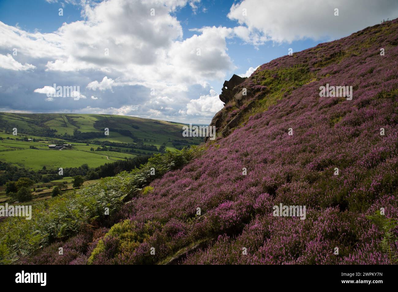 Winking man hi-res stock photography and images - Alamy