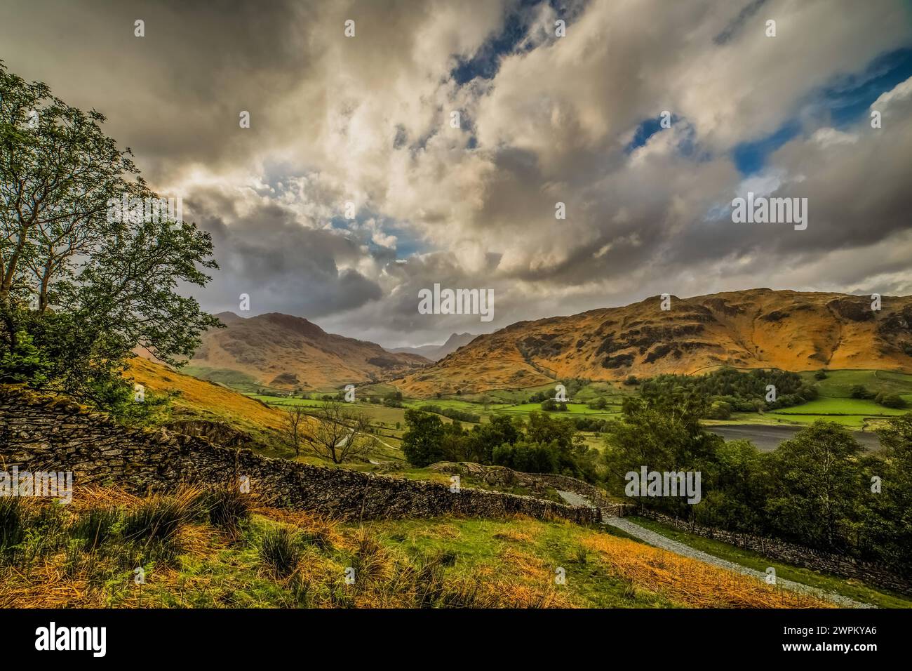 View towards the distant Langdale Pikes and Little Langdale Tarn, from ...