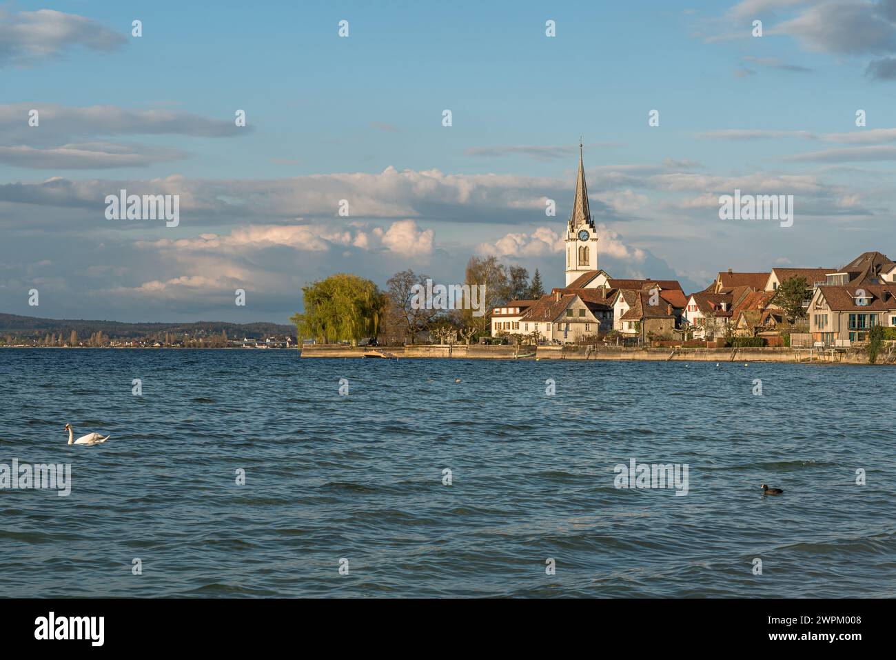View of the Swiss town of Berlingen on Lake Constance, Canton of ...