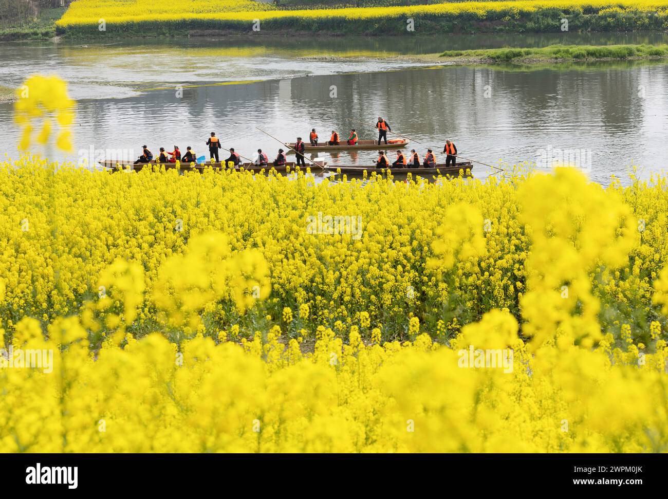 Chengdu, China's Sichuan Province. 7th Mar, 2024. Tourists enjoy the ...