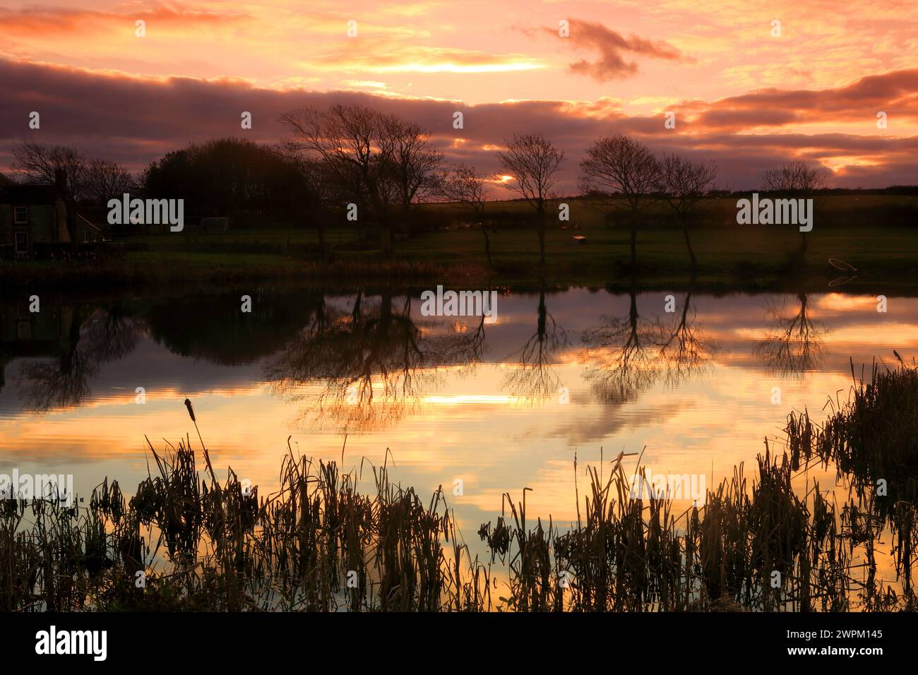 St brides major hi-res stock photography and images - Alamy