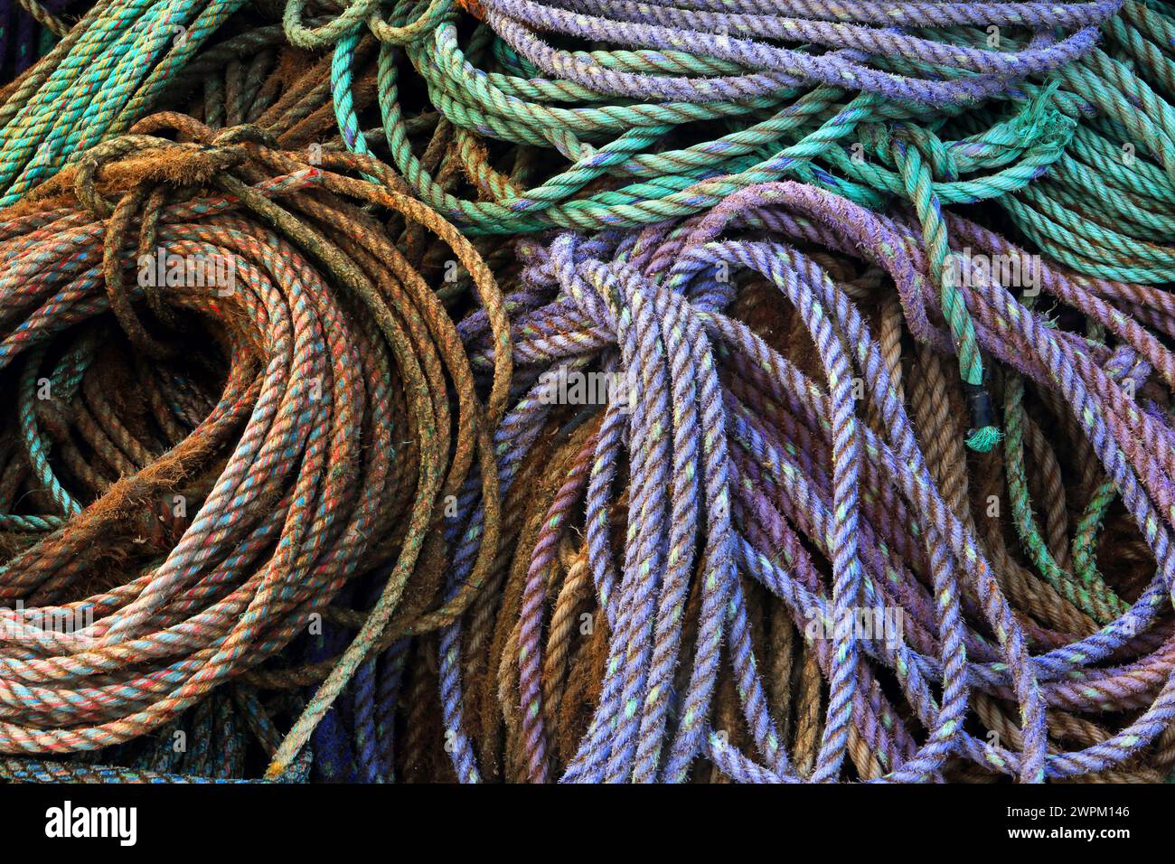 Rope detail, Craster, Northumberland, England, United Kingdom, Europe Stock Photo - Alamy