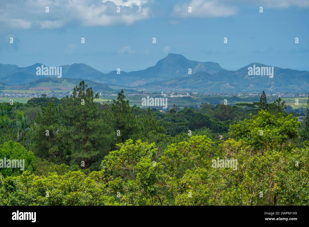 View of landscape from near the Bois Cheri Tea Estate, Savanne District ...