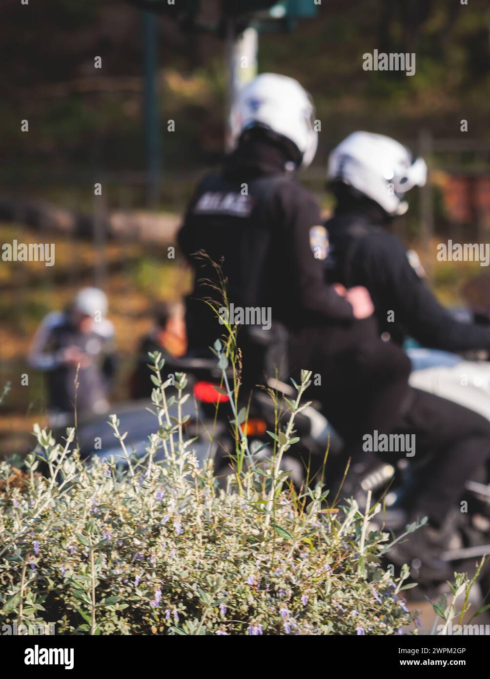 Elliniki astynomia hi-res stock photography and images - Alamy