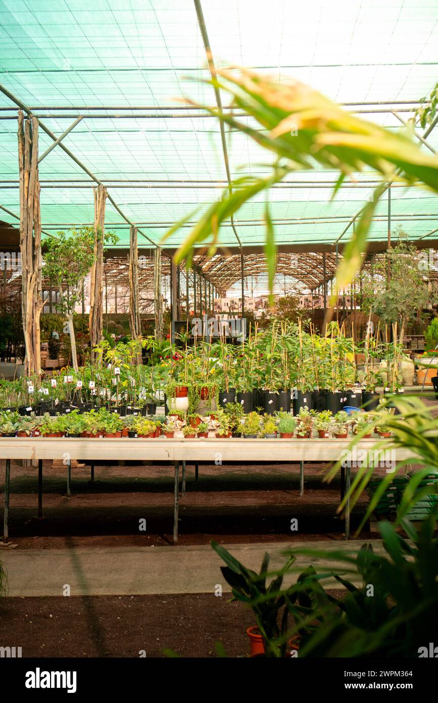 Overflowing plants hi-res stock photography and images - Alamy