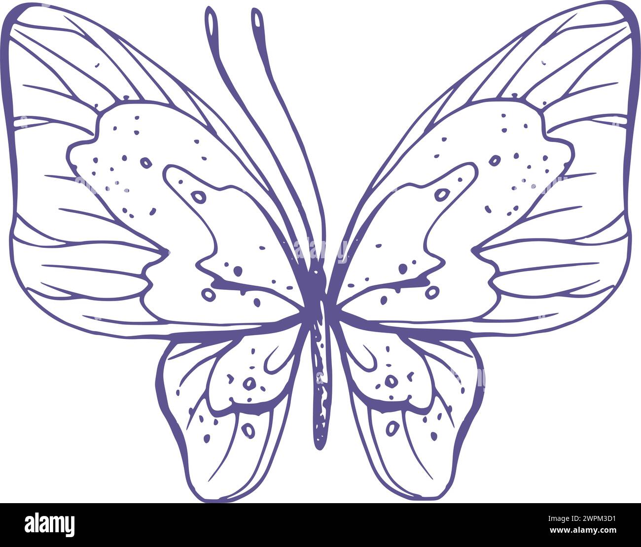 Butterfly wing patterns Stock Vector Images - Alamy
