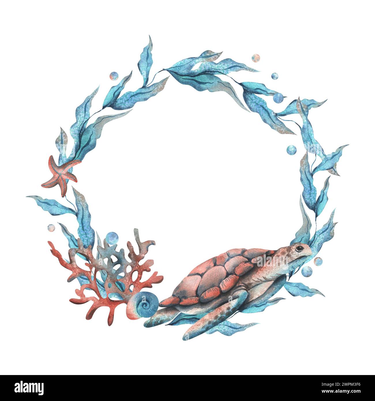 Underwater world clipart with sea animals turtle, shells, bubbles ...