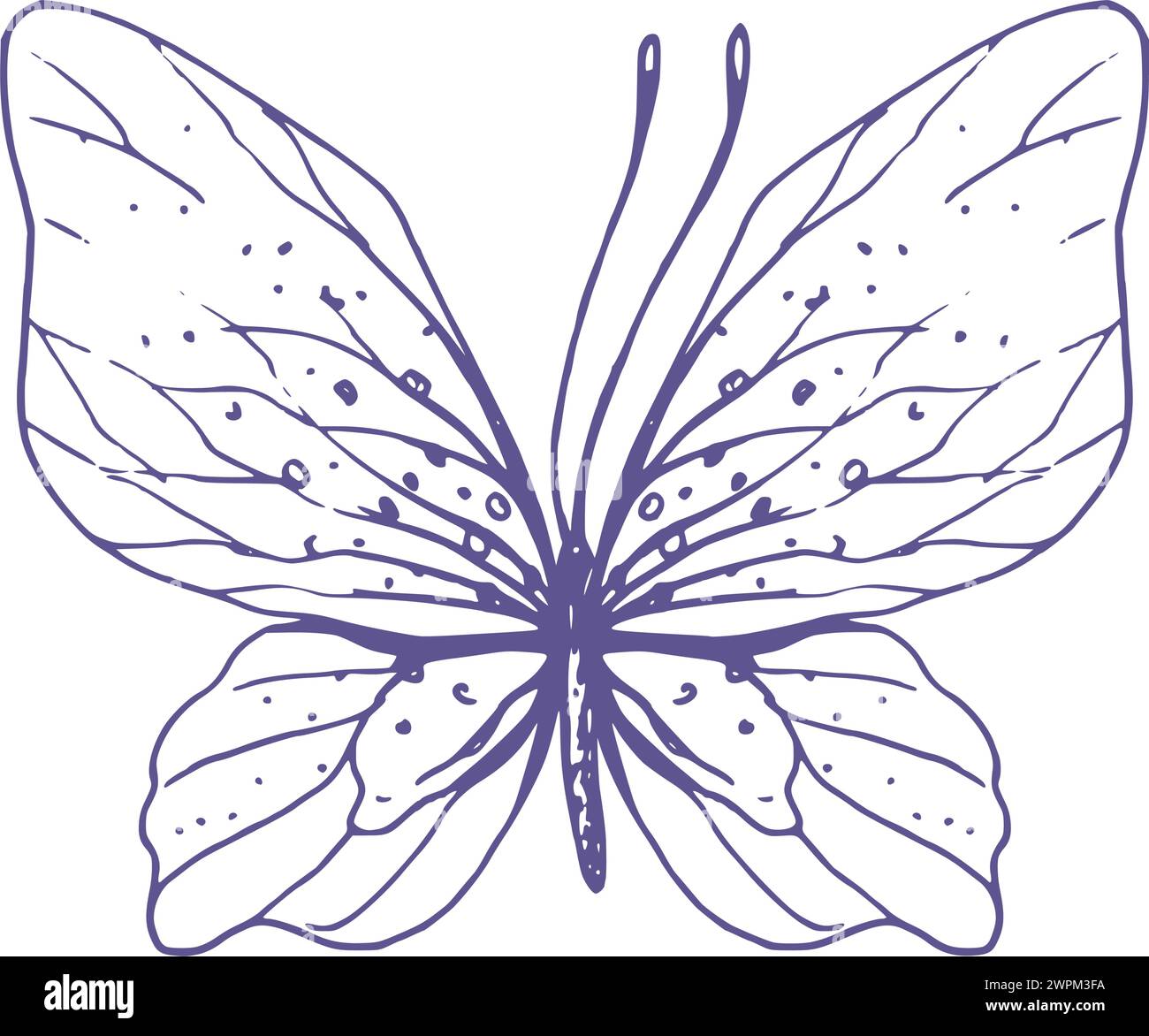 Delicate butterfly with patterns on the wings, simple, sweet, light ...