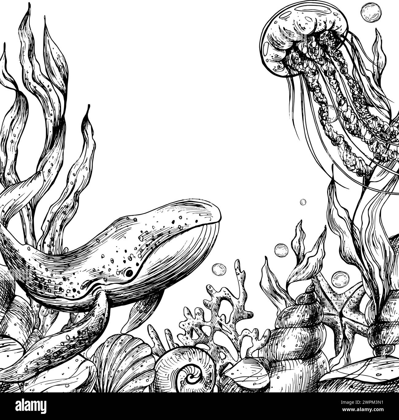 Underwater world clipart with sea animals whale, jellyfish, shells ...