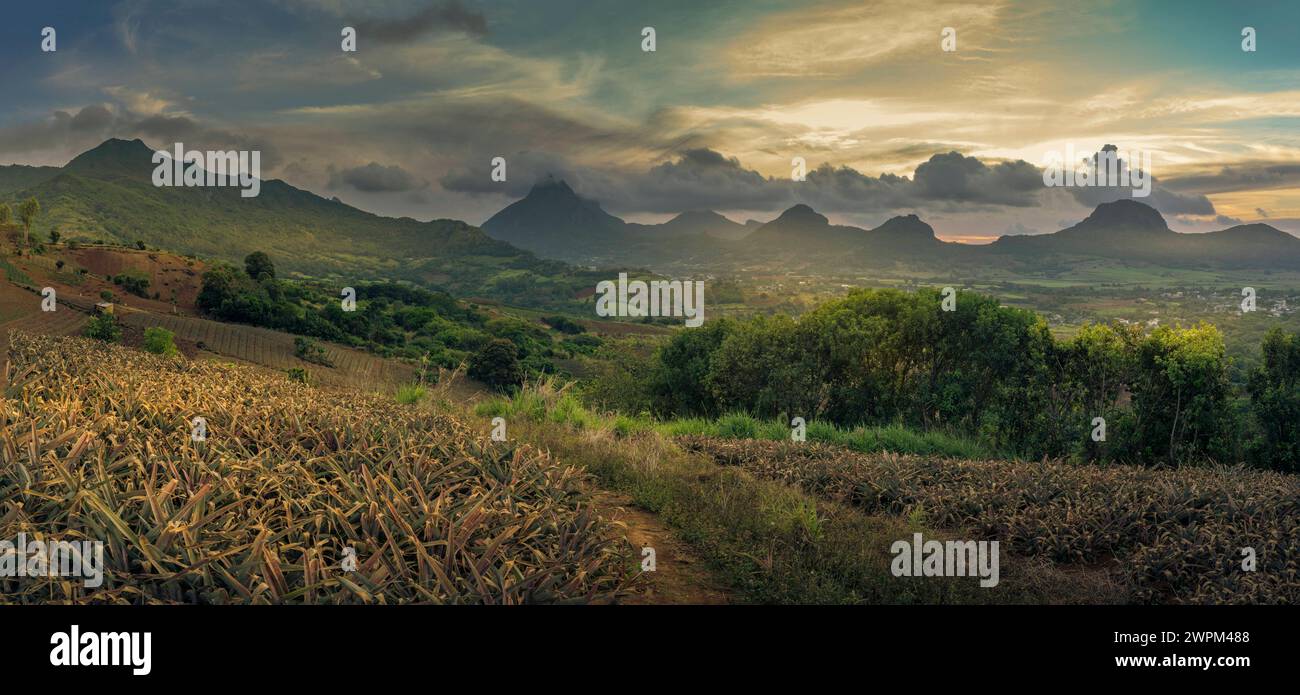 View of Pieter Both and Long Mountain, Nouvelle Decouverte, Mauritius ...