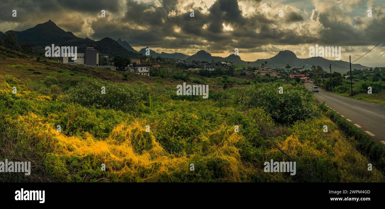 View of Pieter Both and Long Mountain, Nouvelle Decouverte, Mauritius ...