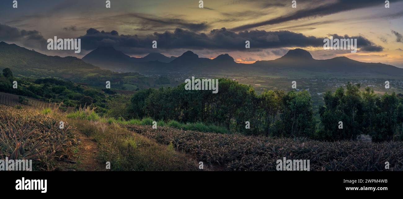 View of Pieter Both and Long Mountain, Nouvelle Decouverte, Mauritius, Indian Ocean, Africa ...