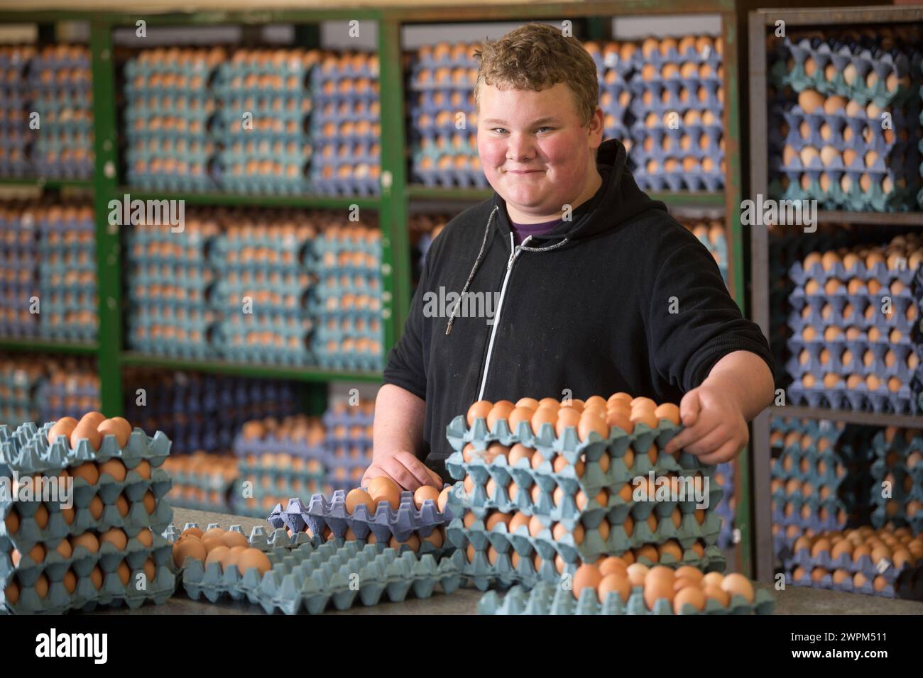 Highfield happy hens hi-res stock photography and images - Alamy