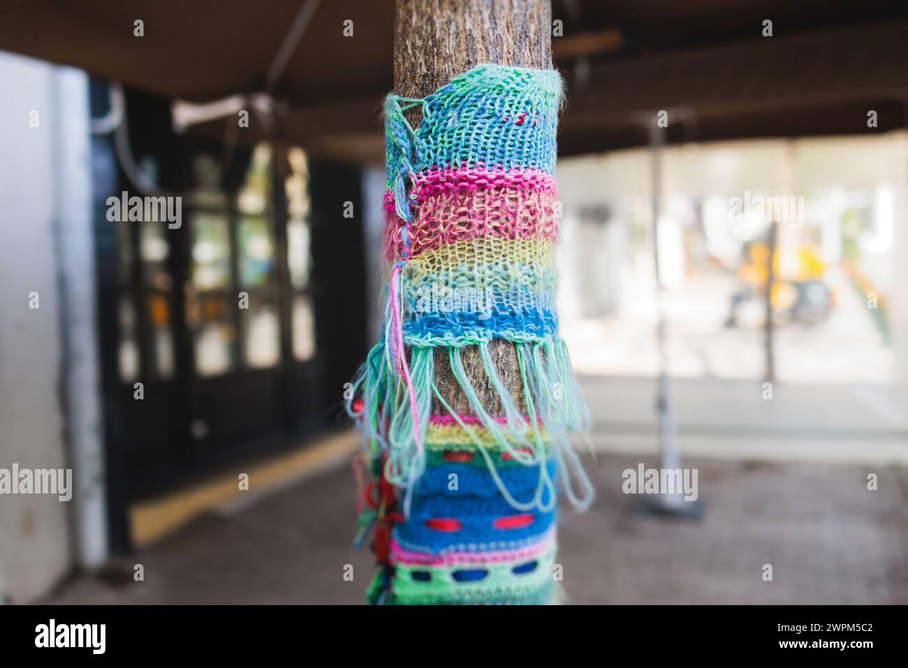 Yarnbombing, trees decorated with yarn bombing, knitted graffiti street ...