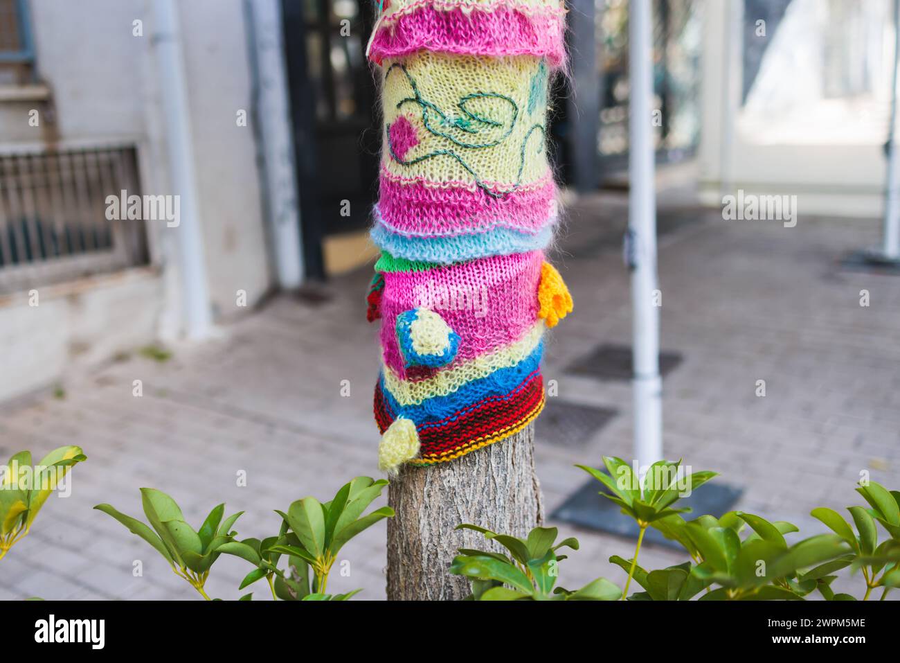 Yarnbombing, trees decorated with yarn bombing, knitted graffiti street ...