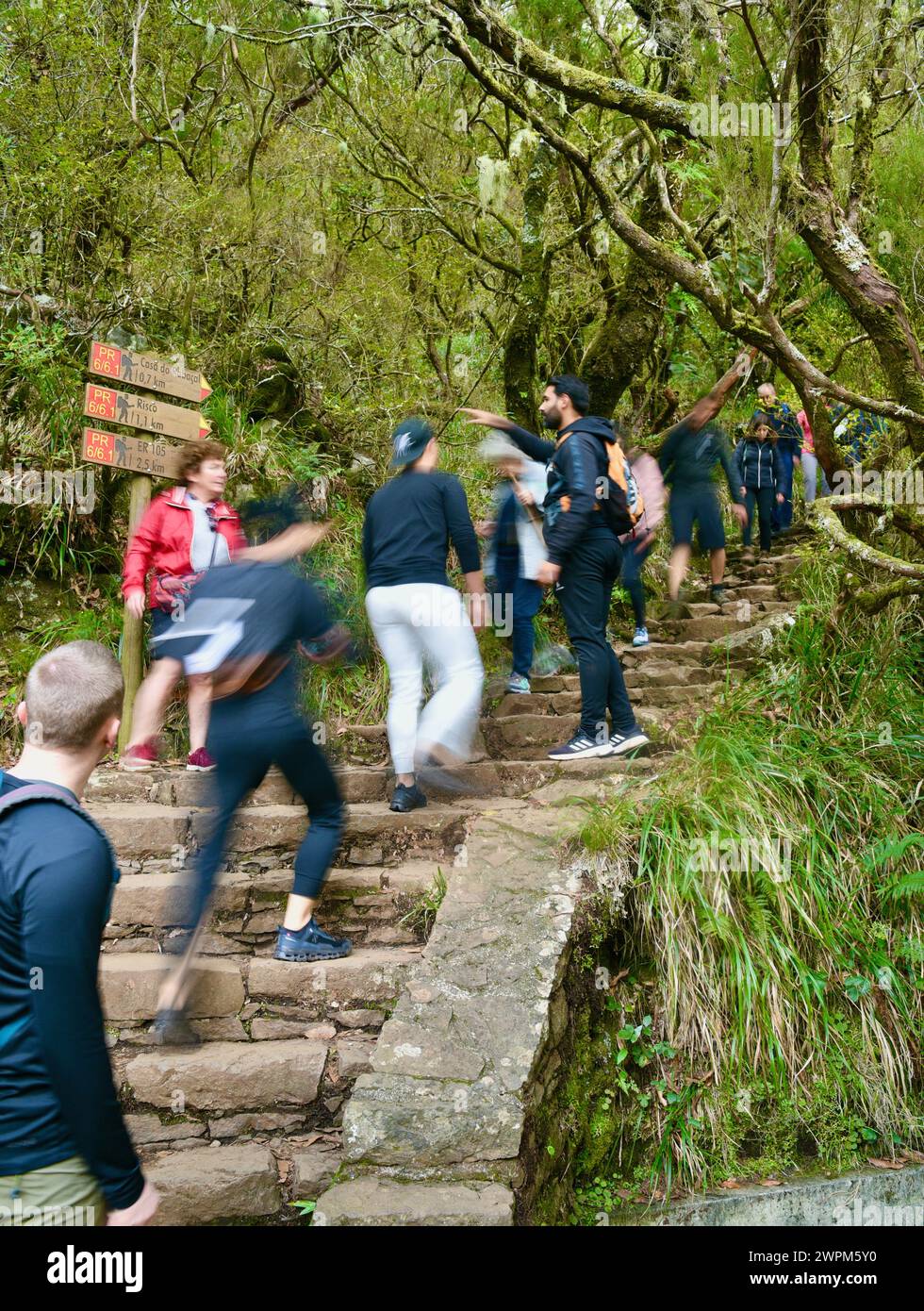 A group of hikers going up and down stone steps along hiking trails to ...