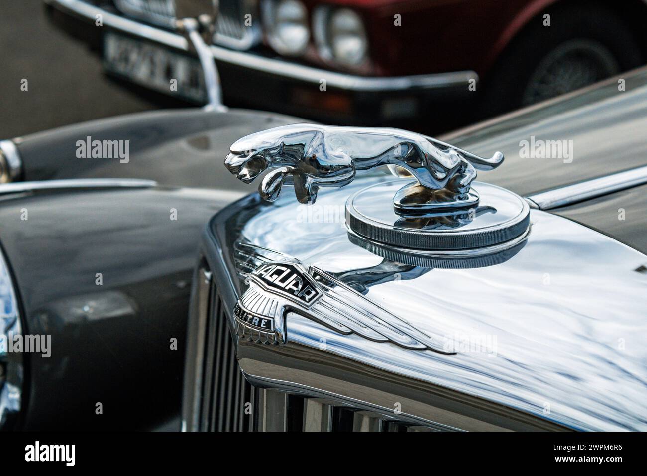 Jaguar Mark V bonnet mascot. The 100 at Blackpool 2022 Stock Photo - Alamy