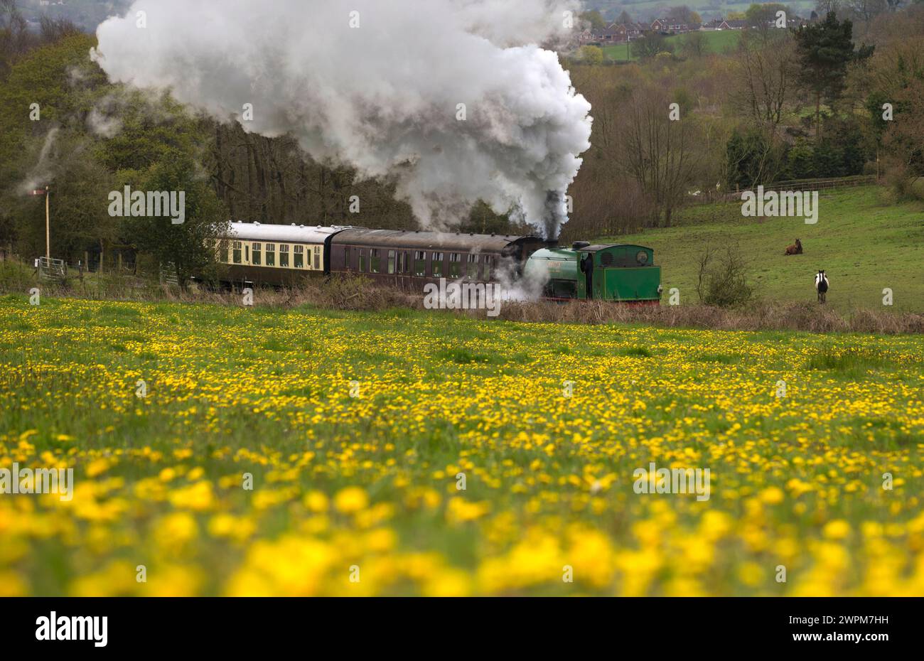 02/05/16 On a wet and windy Bank Holiday Monday steam engine 'Whiston ...