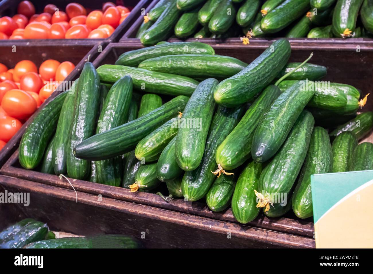 Cucumbers growing in a container hi-res stock photography and images ...