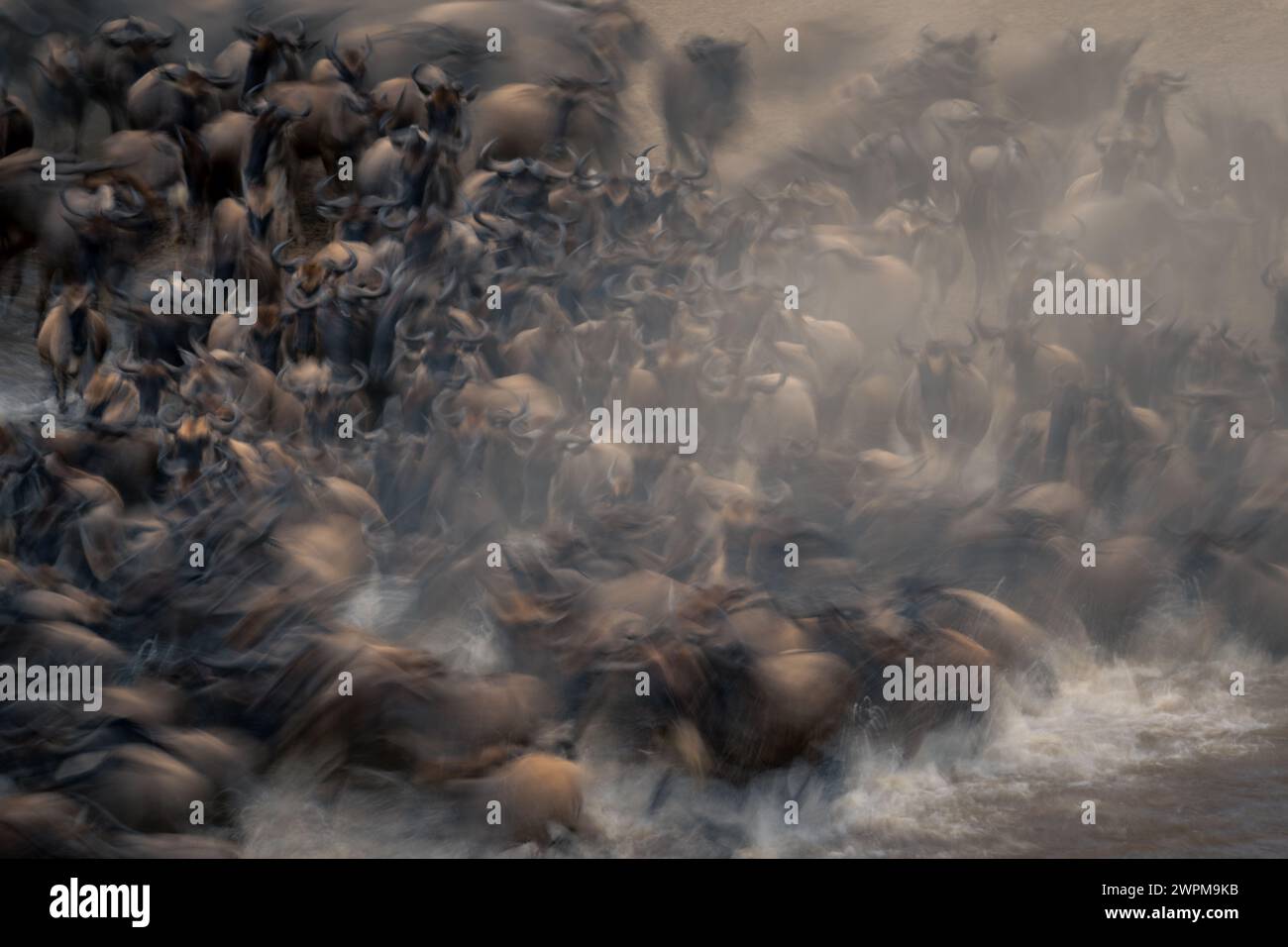 Slow pan movement hi-res stock photography and images - Alamy