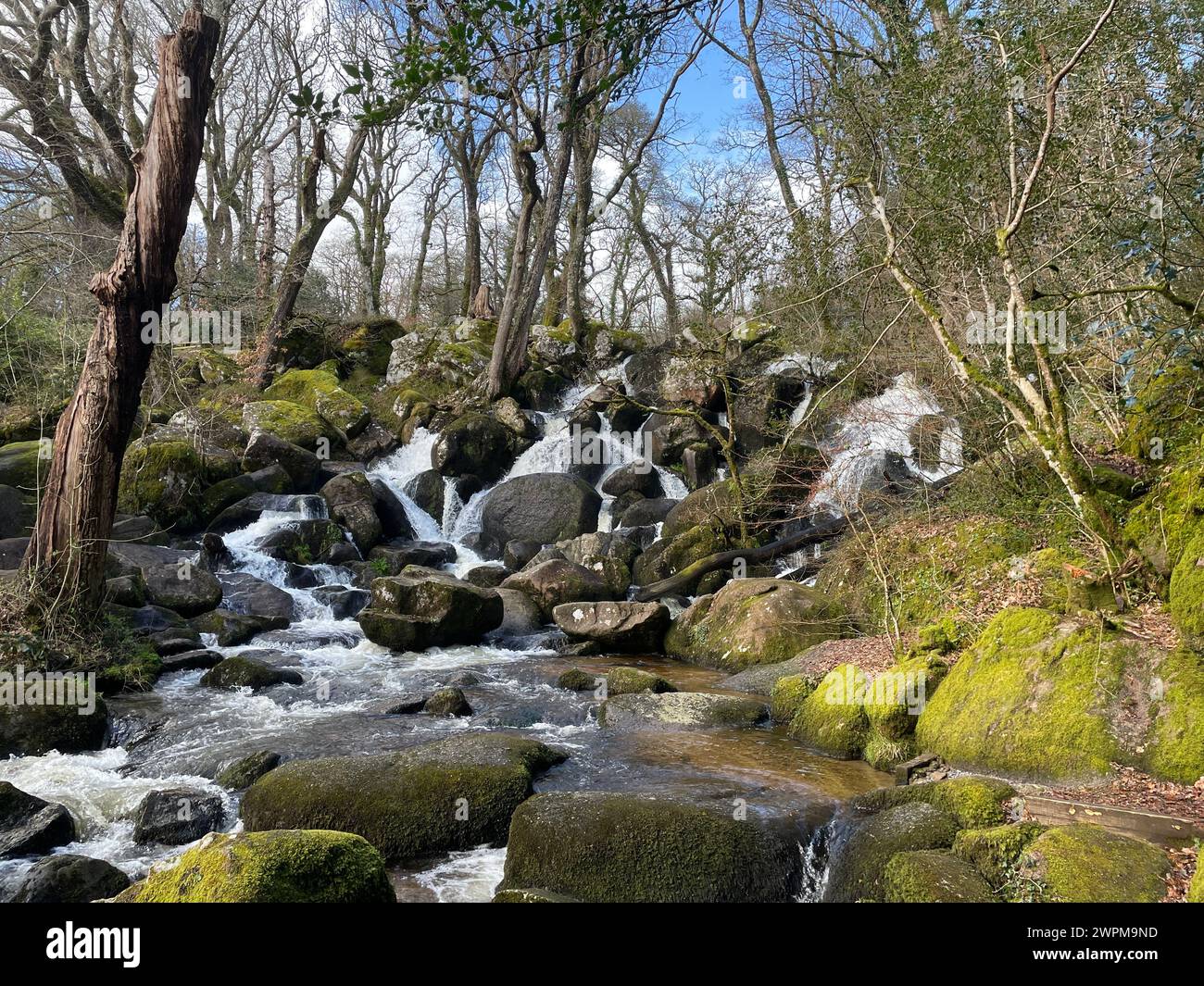 Becky Falls on the east of Dartmoor Stock Photo - Alamy