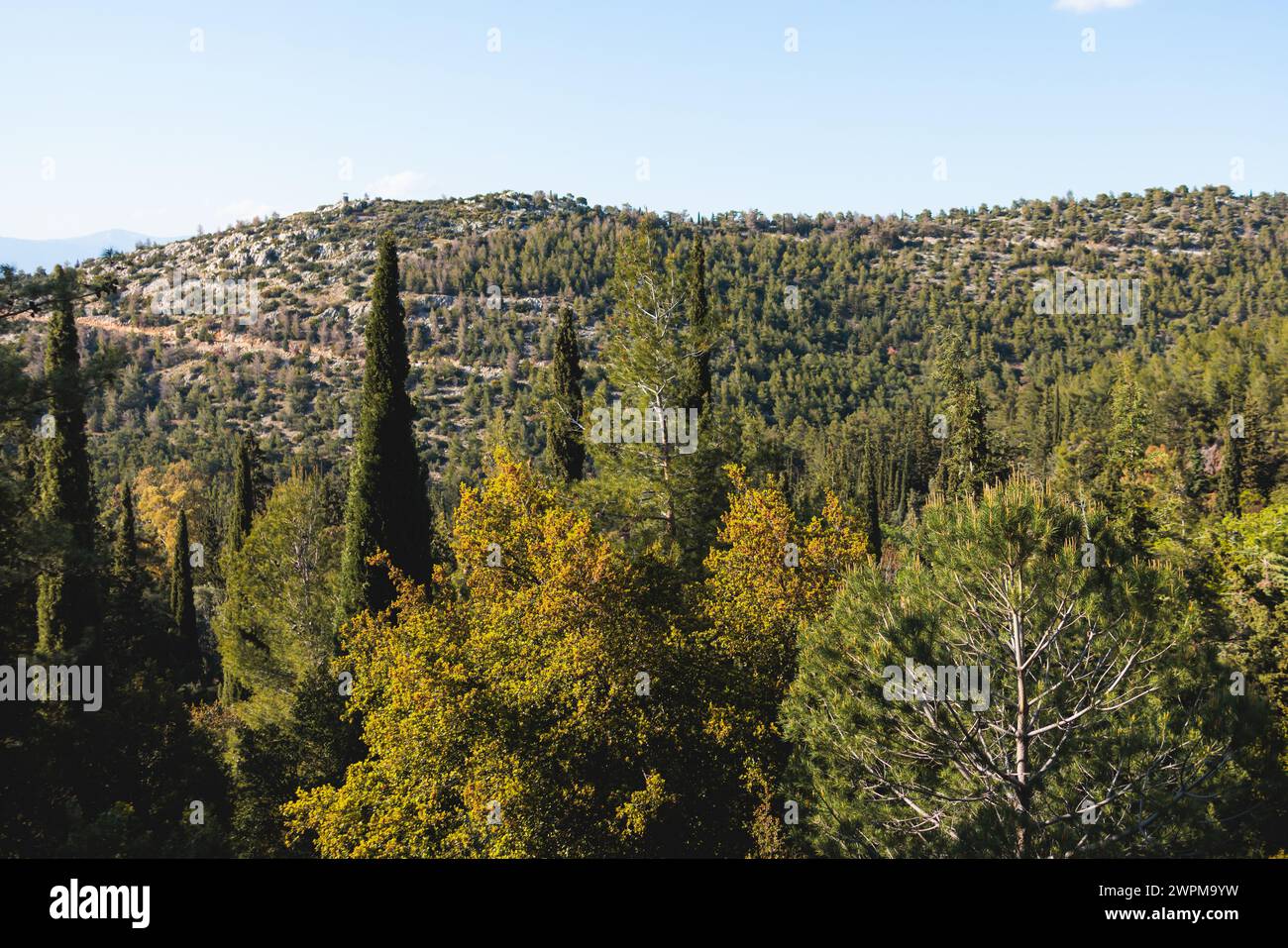 Kalopoula hi-res stock photography and images - Alamy