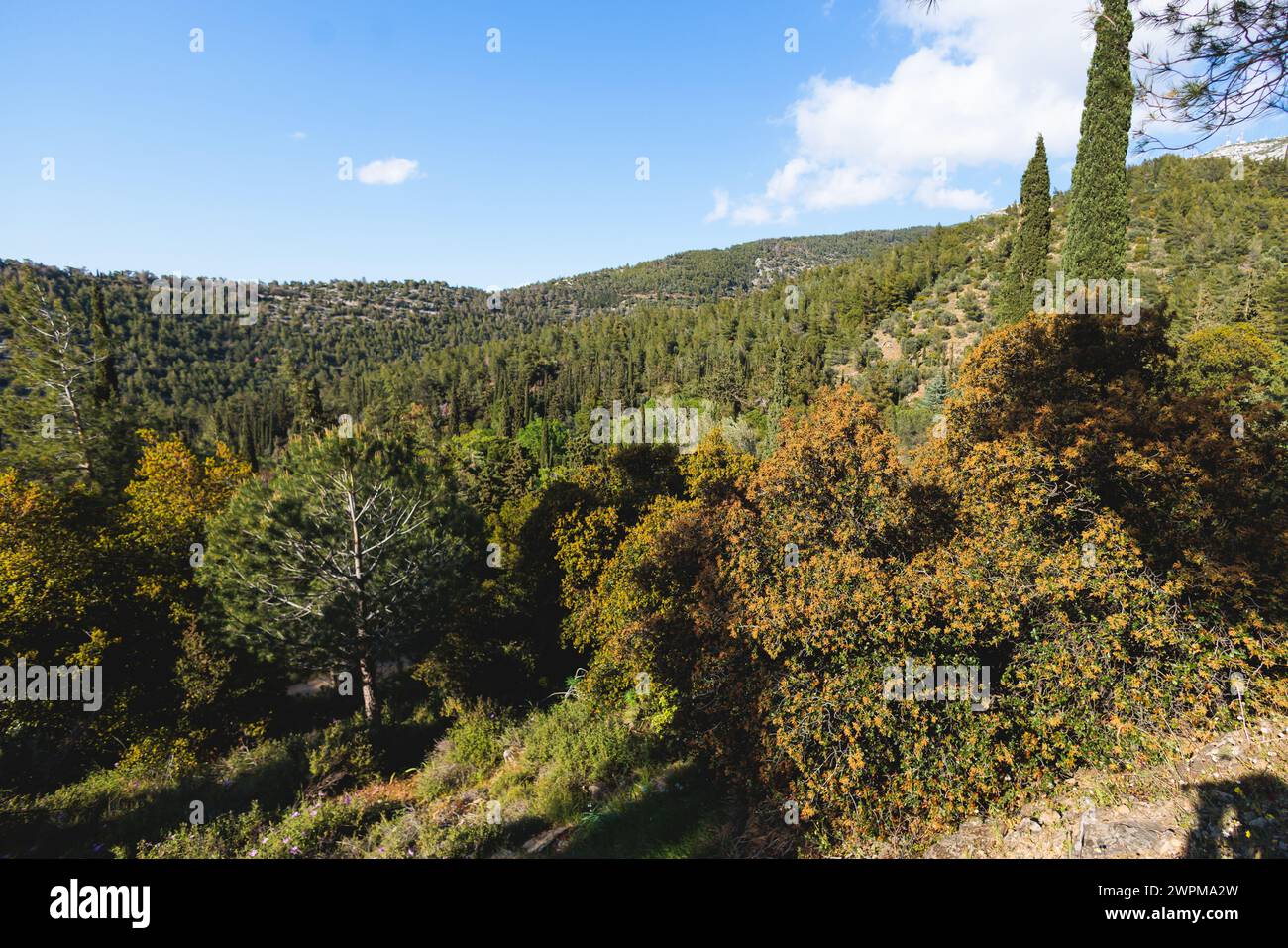 Parnitha park athens hi-res stock photography and images - Alamy