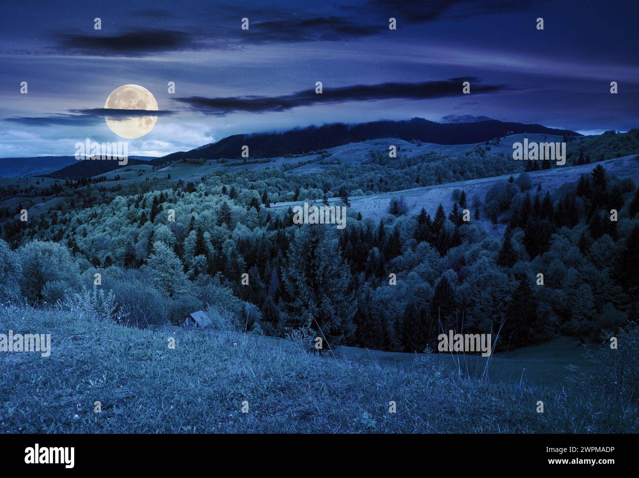 carpathian countryside at night. forested hills and grassy meadows in ...
