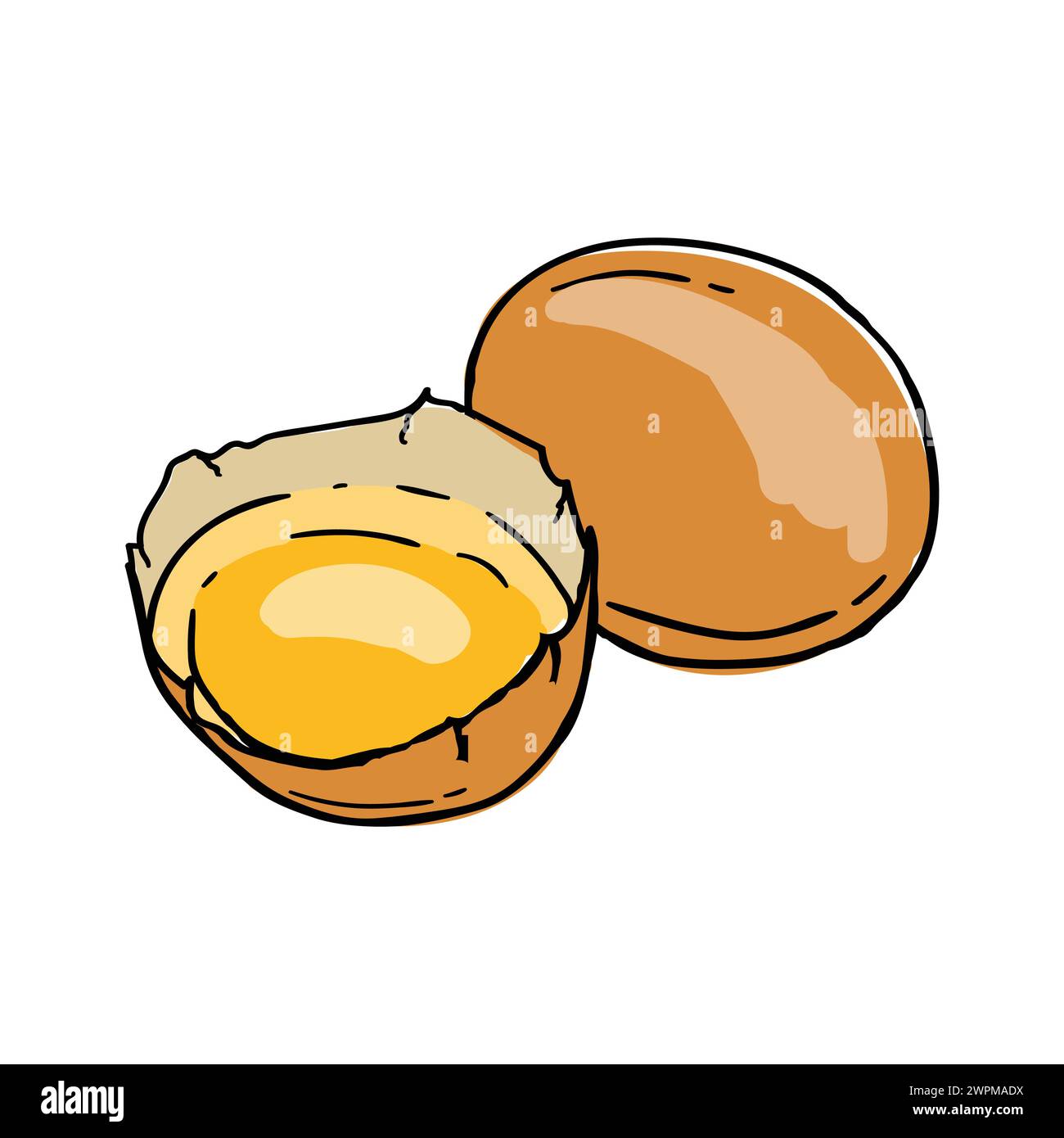 Egg. Yolk and white. Culinary ingredient. Bright hand drawn vector ...