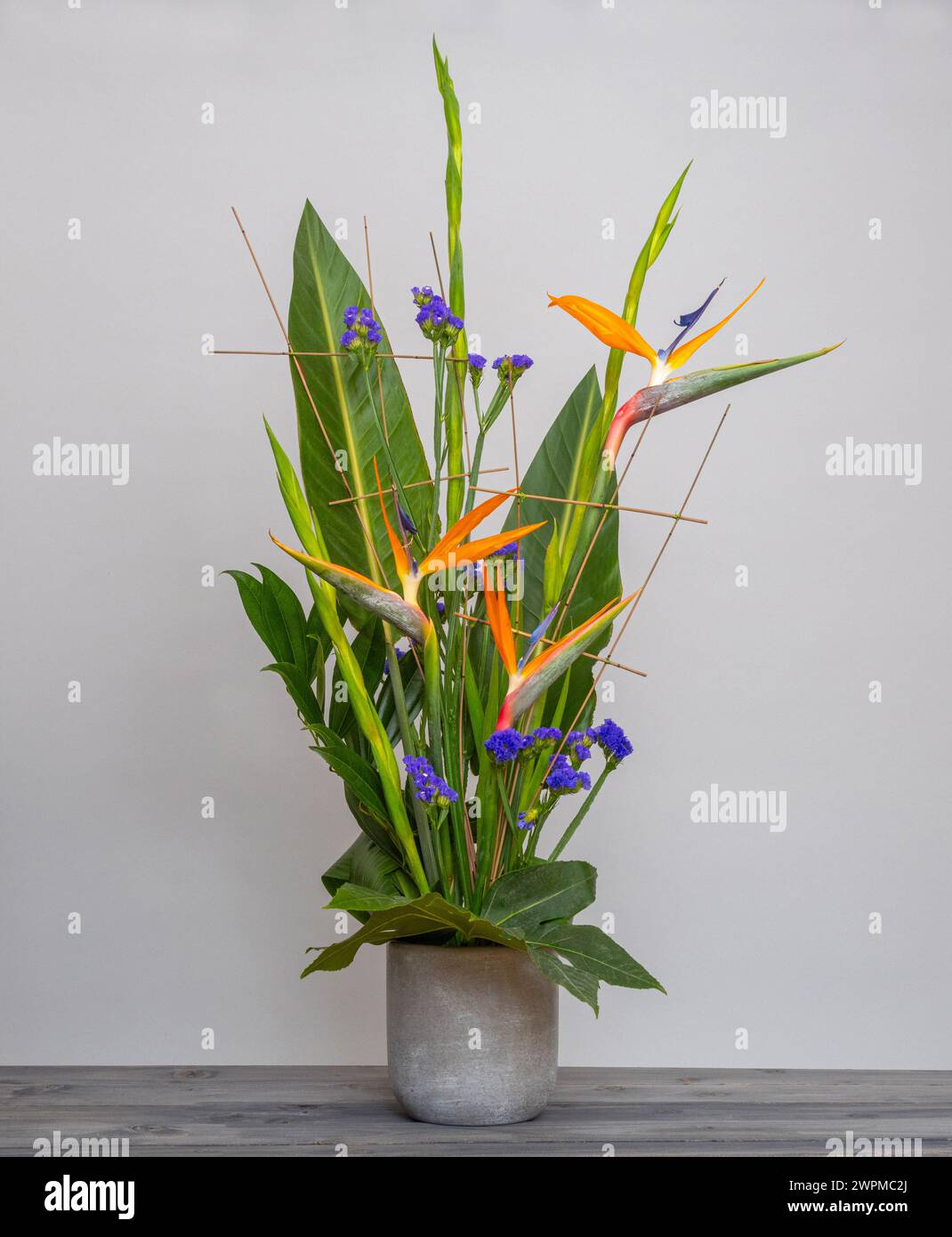 Linea arrangement hi-res stock photography and images - Alamy