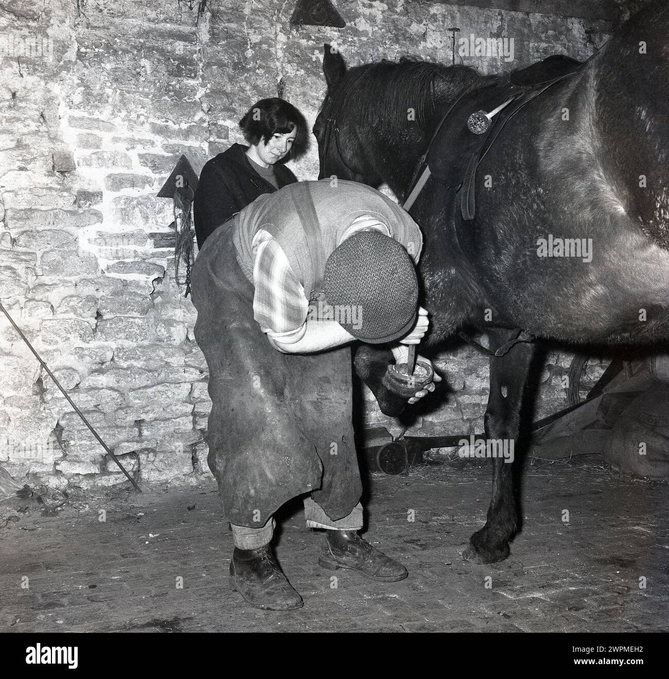 1970s, historical, a farrier at work in a stables shoeing a horse ...