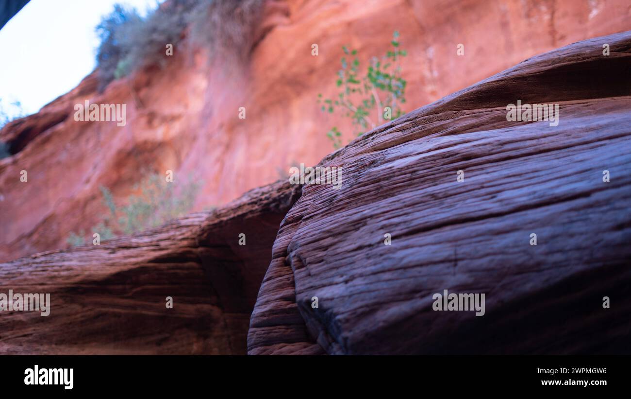 A red rock face with mossy trees and rocks Stock Photo - Alamy