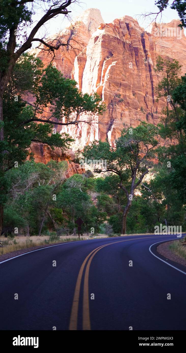 A curved road winding through mountains with trees in the foreground ...