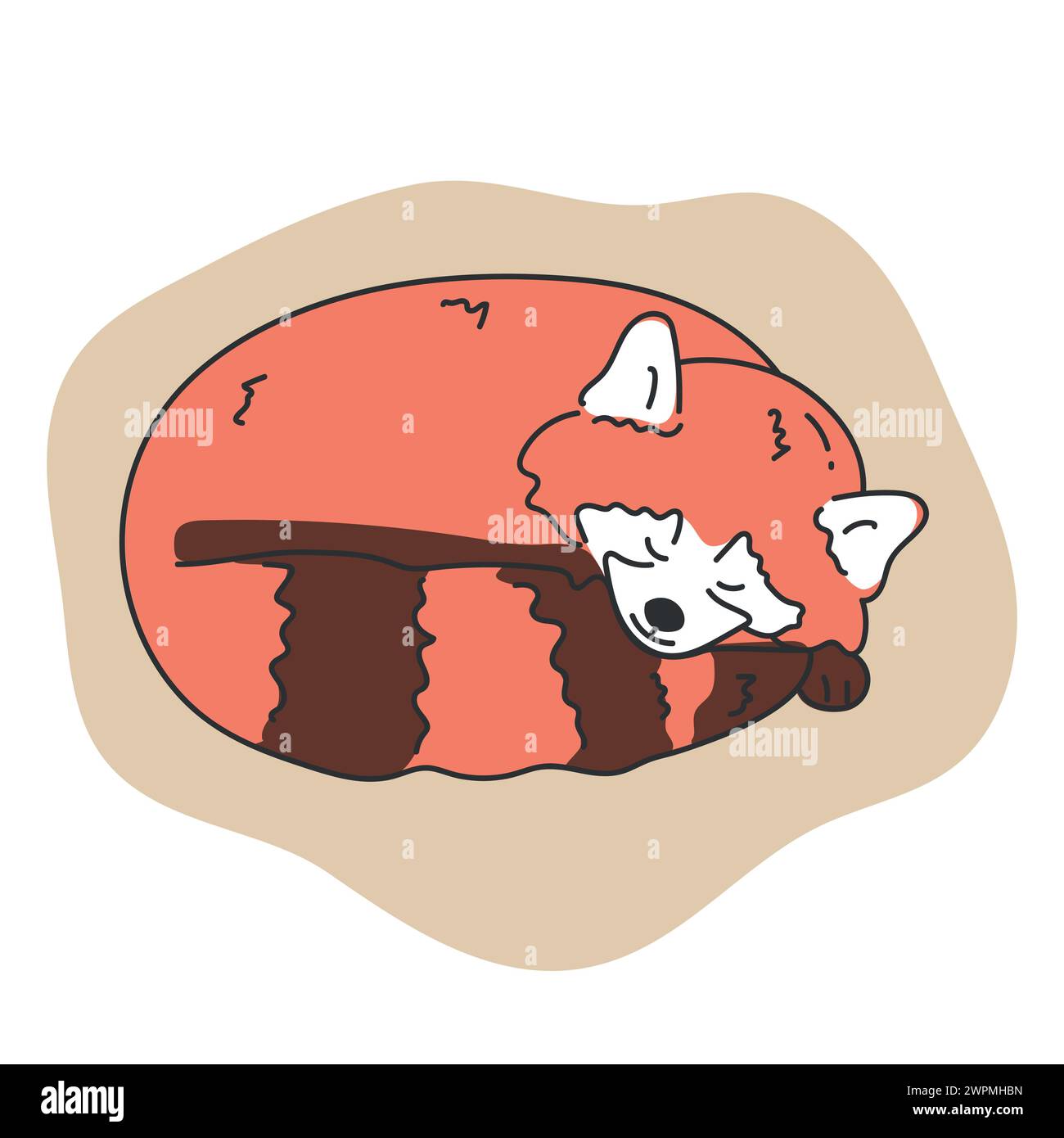 Hand drawn cute red panda is sleeping. Cartoon sleepy red panda ...