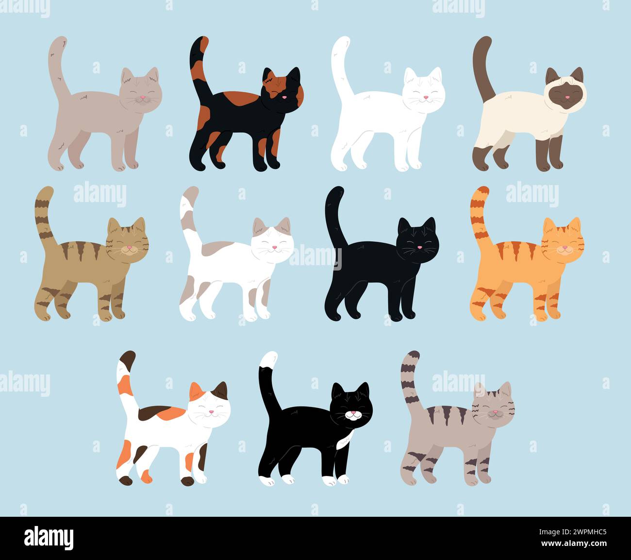 Collection of hand drawn cats with different colors. Cats with ...