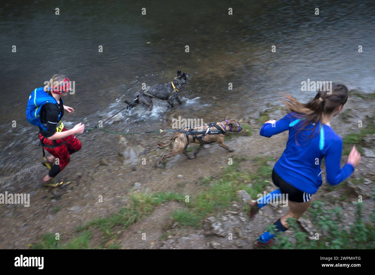 06/11/16 ***WITH VIDEO*** Despite temperatures barely rising above ...