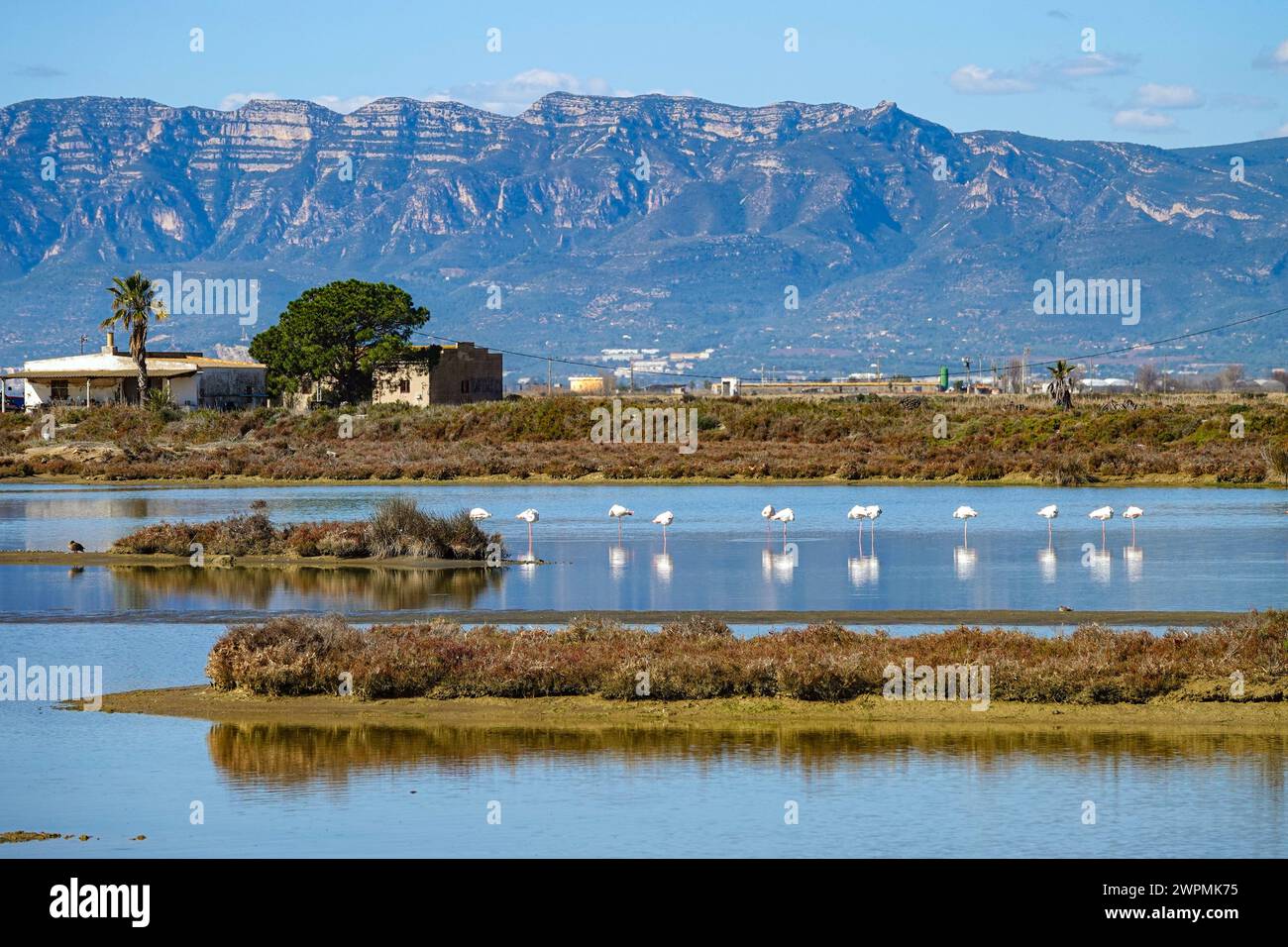 Wetlands and irrigation on the Ebro Delta, Ebro Rives, Riu Ebro ...