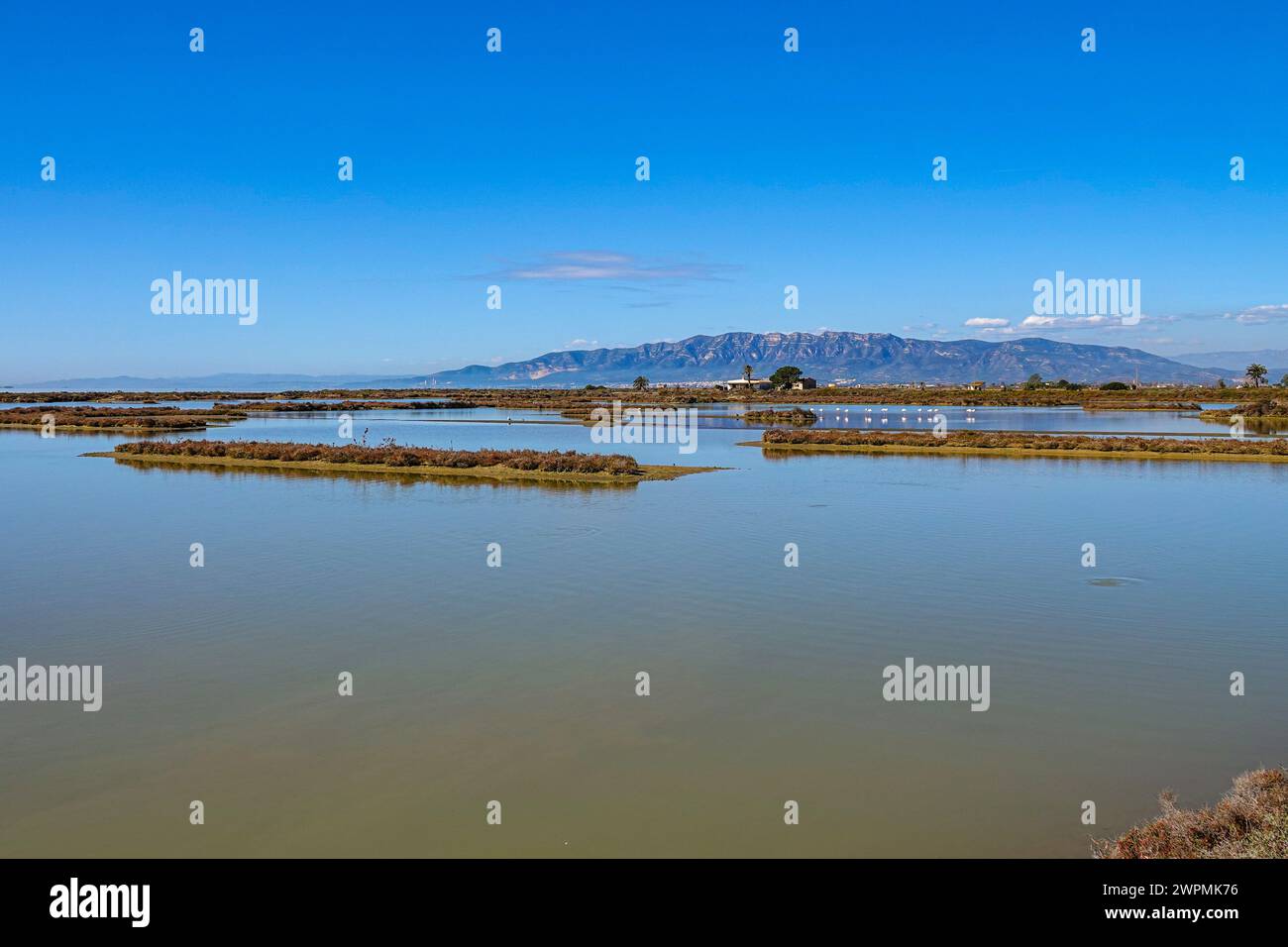 Wetlands and irrigation on the Ebro Delta, Ebro Rives, Riu Ebro ...