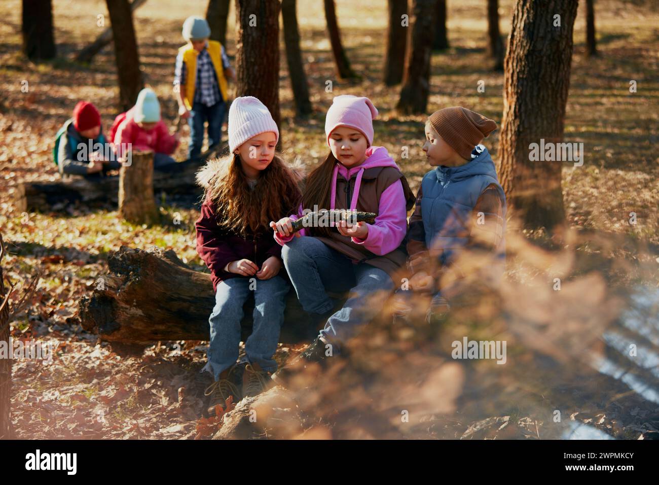 Little kids, classmates on log bench in leafy environment, and one ...