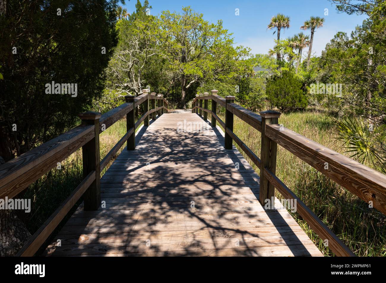 Boardwalk nature trail at Wild Dunes Resort, Isle of Palms, South ...