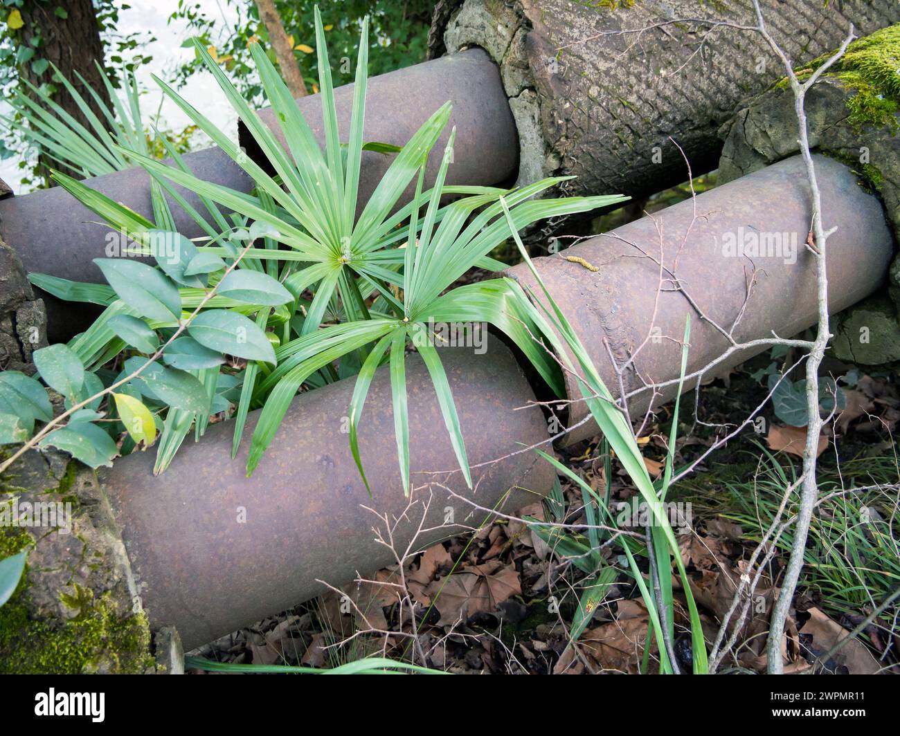 Old water main pipes hi-res stock photography and images - Alamy