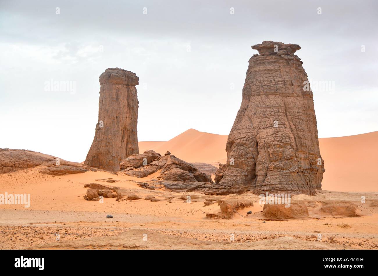 Panorama of the Sahara Desert in Algeria Stock Photo - Alamy
