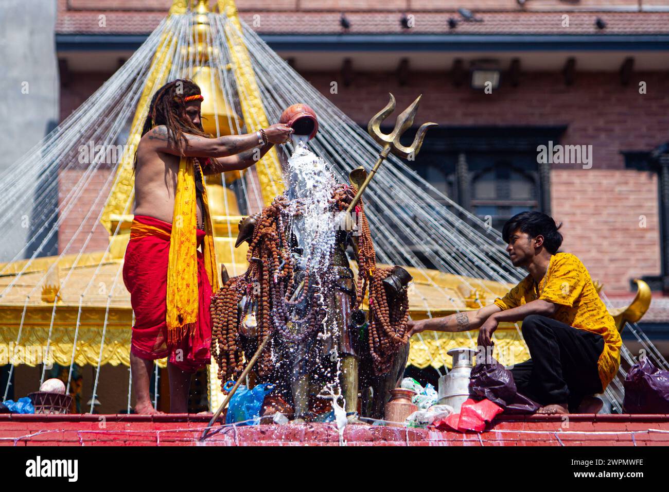 A Hindu priest pours milk as he offers prayers to idol of Lord Shiva at ...