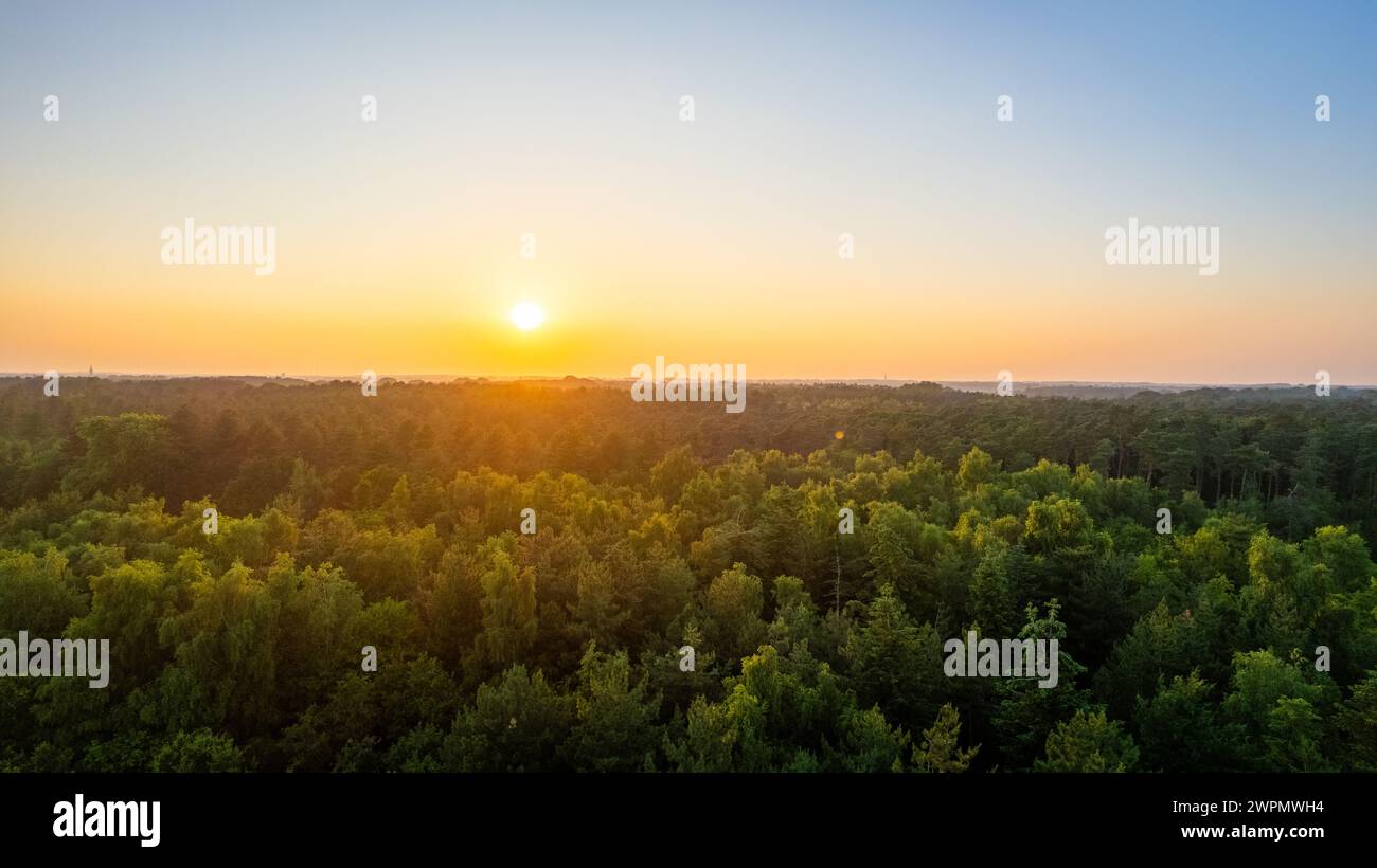 This image portrays a tranquil scene of the sun setting over a dense ...