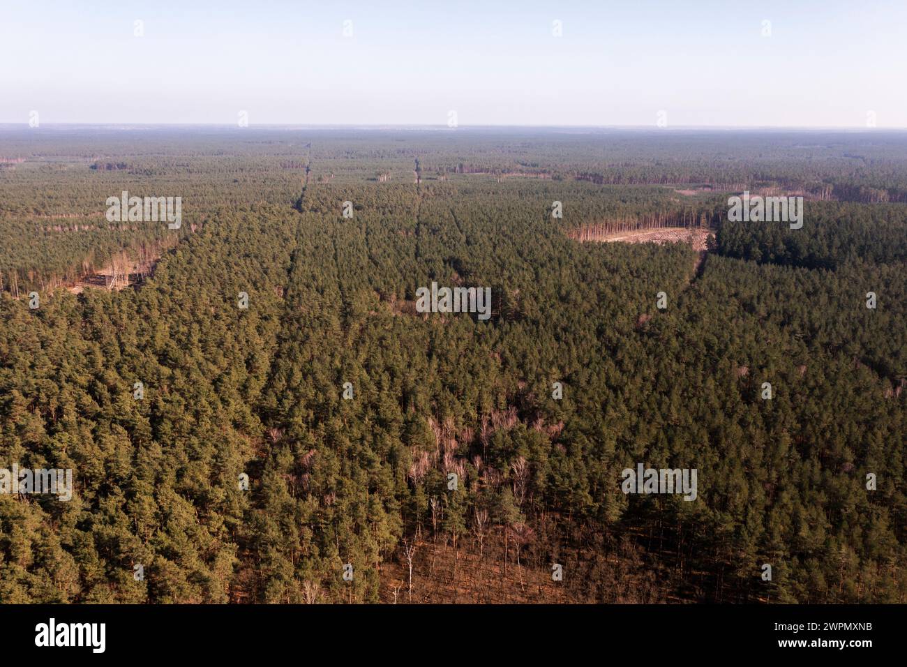 Swathes of green hi-res stock photography and images - Alamy