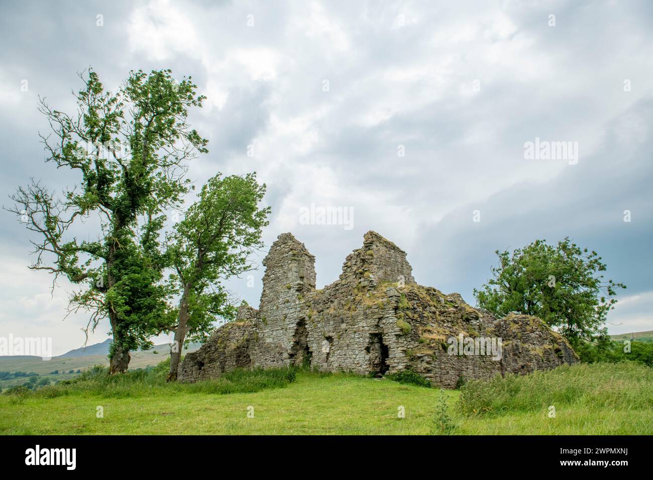 Nature reclaiming its territory as the ruins of a castle stand proudly ...