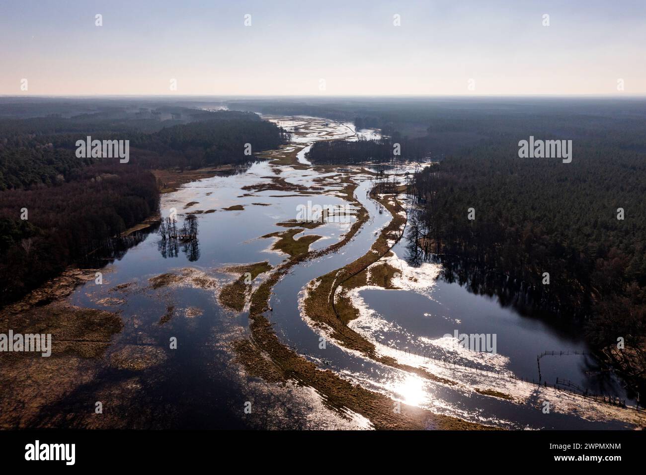 Flooded fields, meadows and forests during excessive rainfall. A river ...